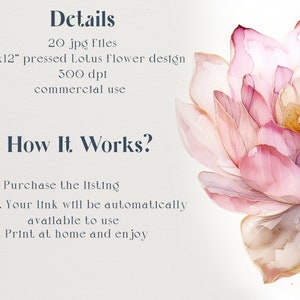 Printable Pressed Lotus Flowers. Digital Pressed Flowers Sublimation ...