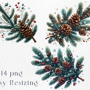 Christmas Pine Branches Cliparts, 14 PNG, JPG. Festive Winter Pine ...