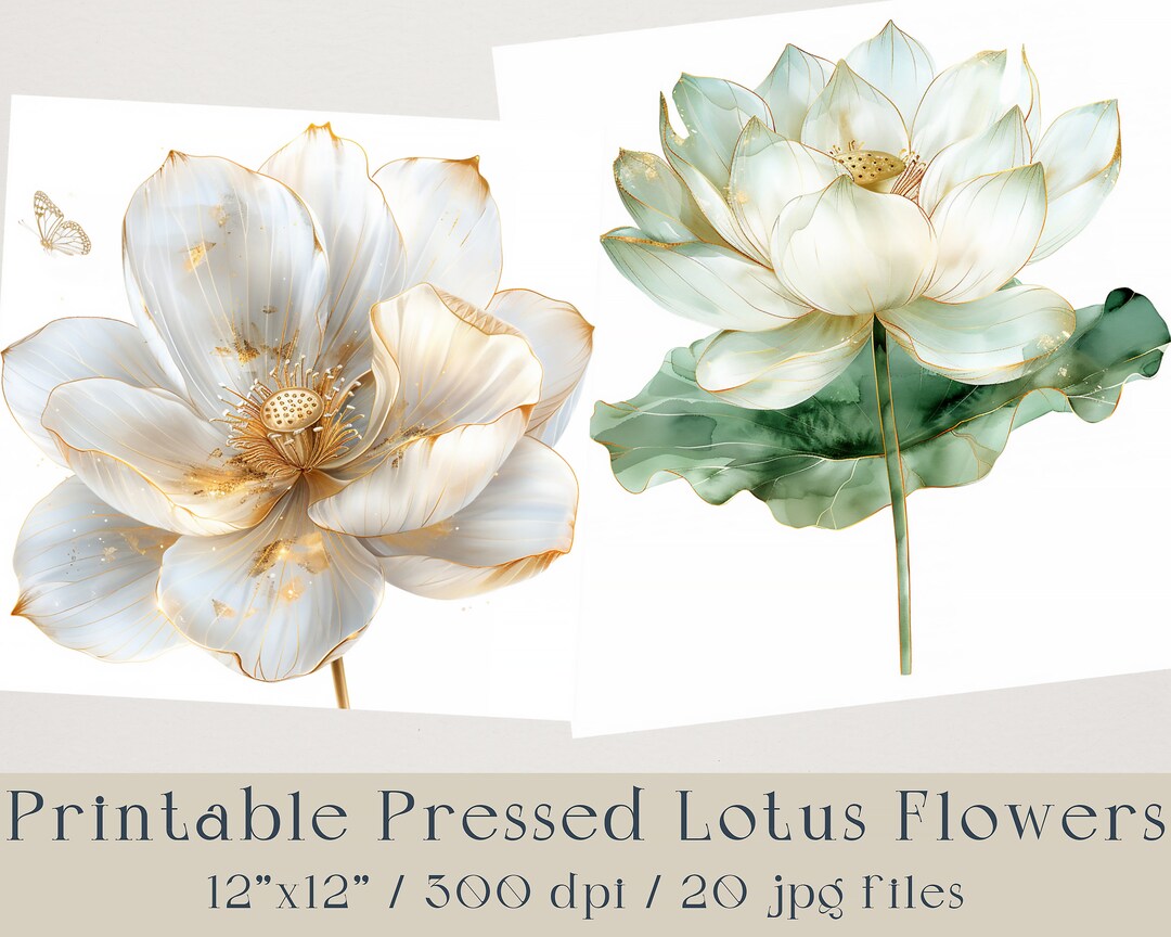 Printable Pressed Lotus Flowers. Digital Pressed Flowers Sublimation ...