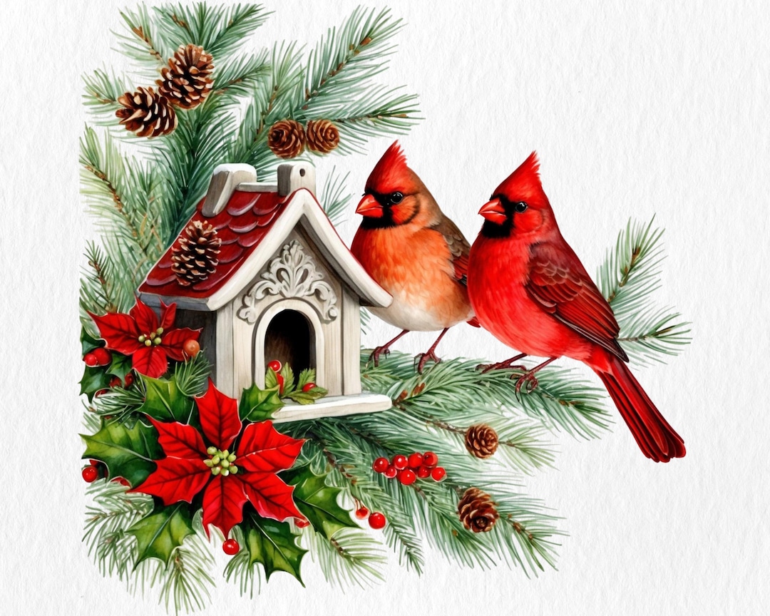 Christmas Cardinal Bird Clipart Set. Festive Red Cardinal Illustrations ...