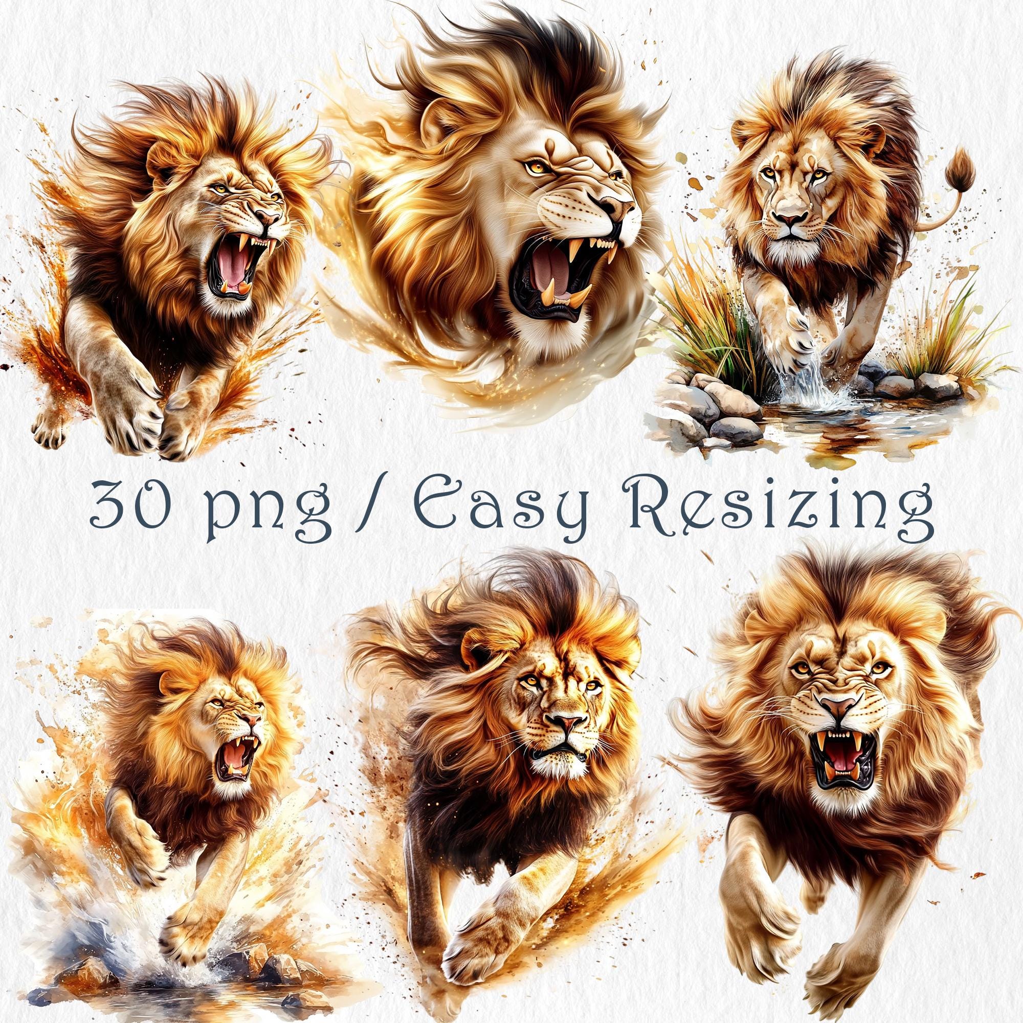 Watercolor Lion Clipart Set. Powerful Lion Family PNG. Lion, Lioness ...
