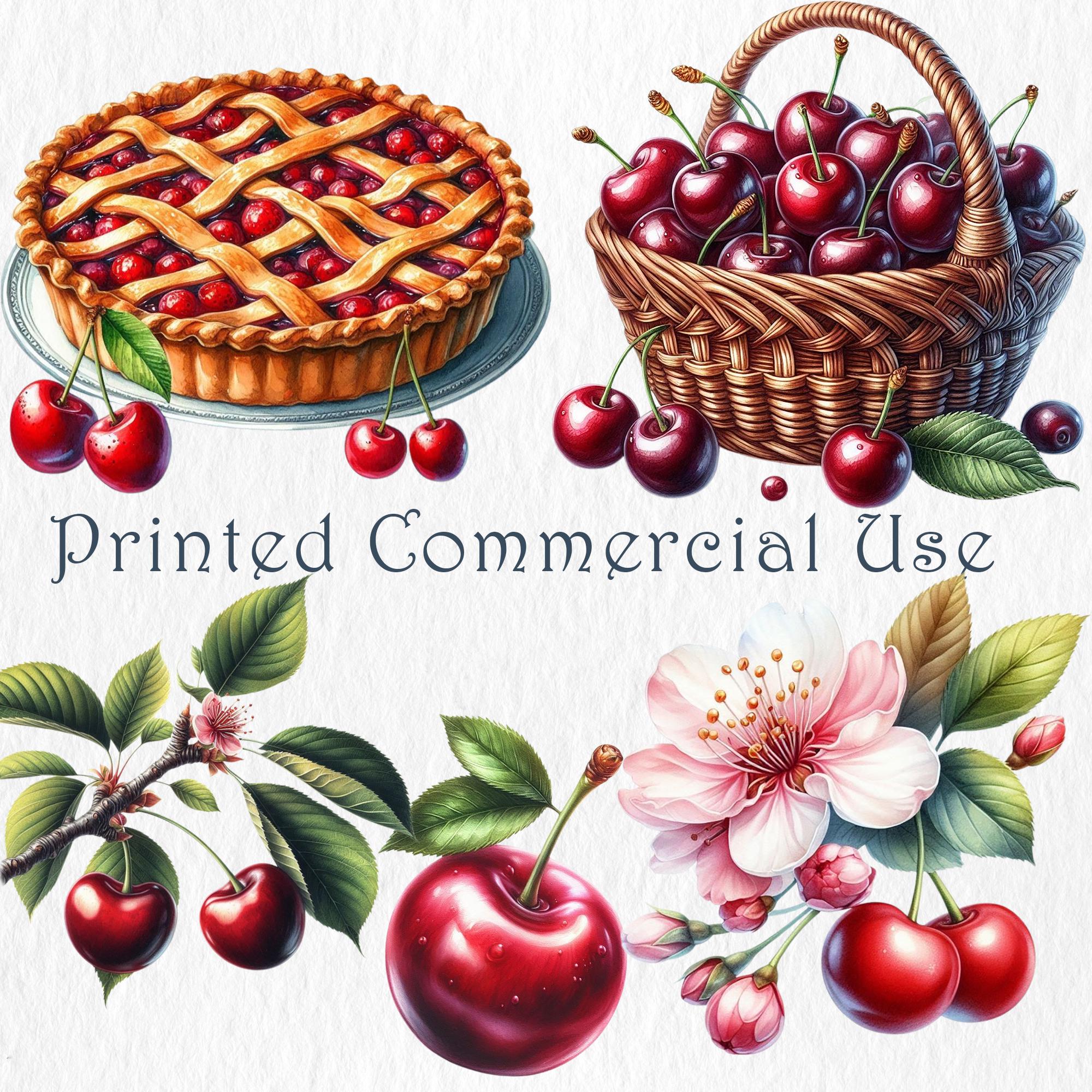 Watercolor Cherry Berry Clipart. Red Cherries 25 PNG. Cherry Berry ...