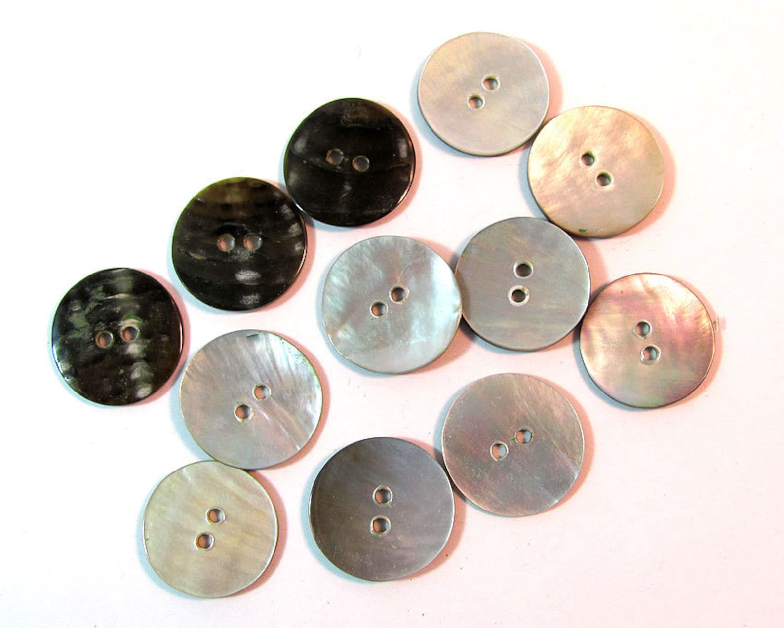 Abalone Two Hole Round Shell Buttons 3 Sizes | Etsy