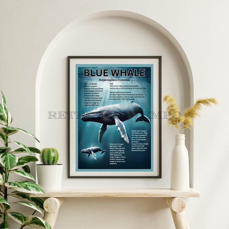 Blue Whale Educational Poster: Marine Life Facts Art (digital Download ...