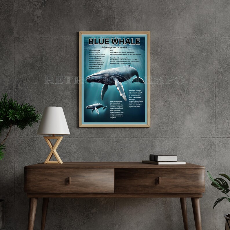 Blue Whale Educational Poster: Marine Life Facts Art (digital Download ...
