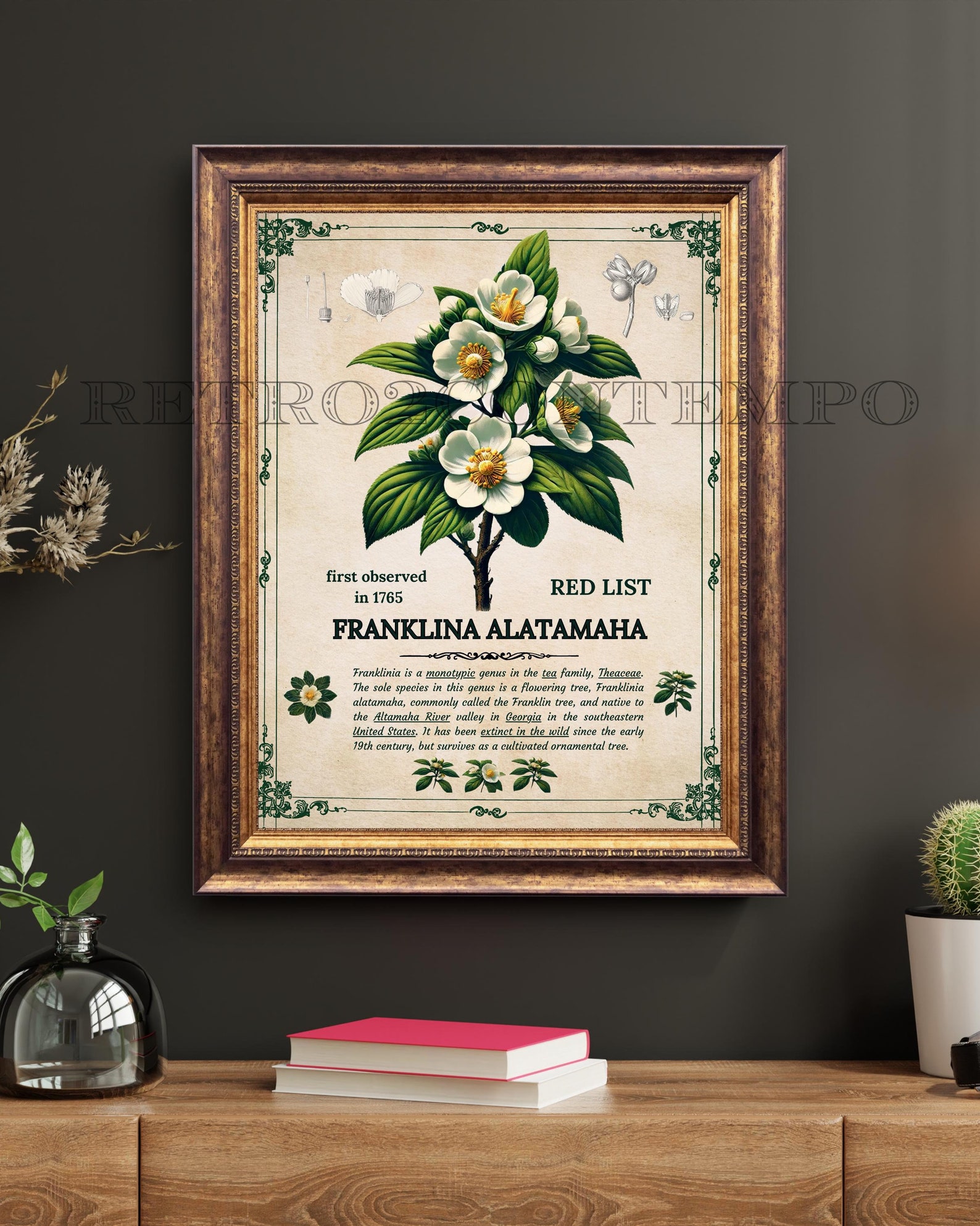 Vintage Style Red List Botanical Poster Extinct Plant Printable Art ...