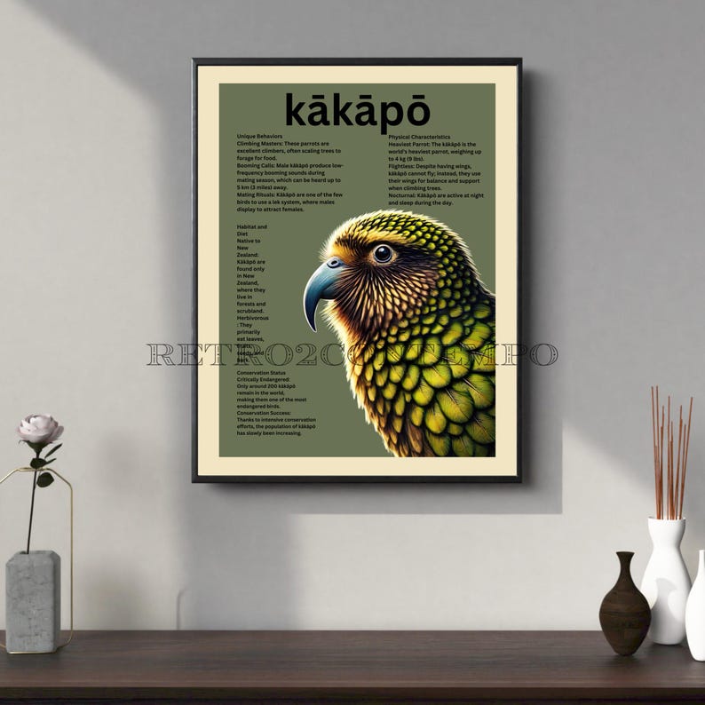 Kākāpō Educational Poster, Endangered Bird Art, Wildlife Conservation ...