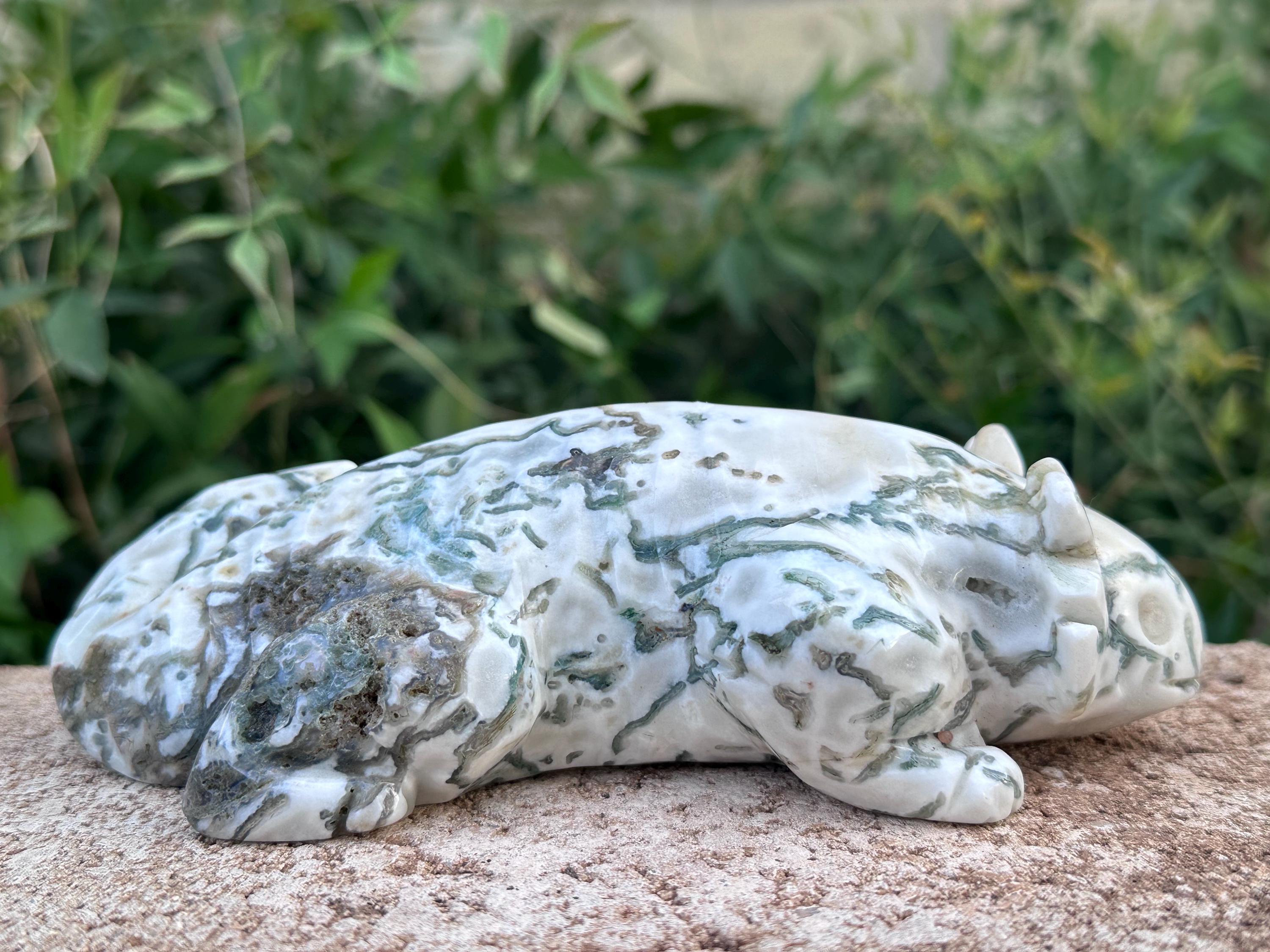 Moss Agate Axolotl Crystal Carving Big Boy - Etsy