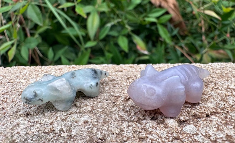 Crystal Axolotl Carvings - Mini - 1" - Etsy