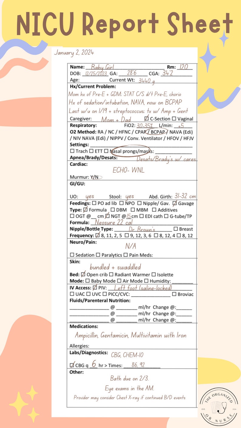 NICU Vertical Report Sheet - Etsy