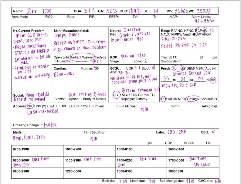 NICU Nursing Report Sheet - Etsy