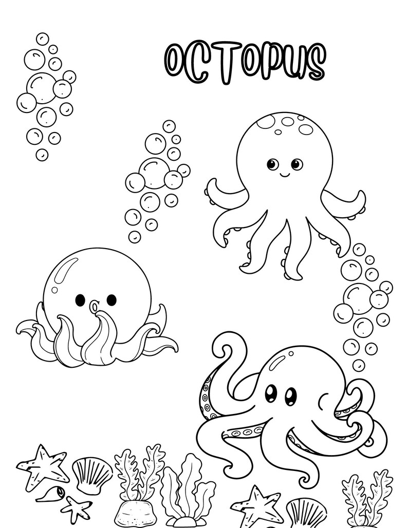 COLORING ANIMAL BOOK - Etsy