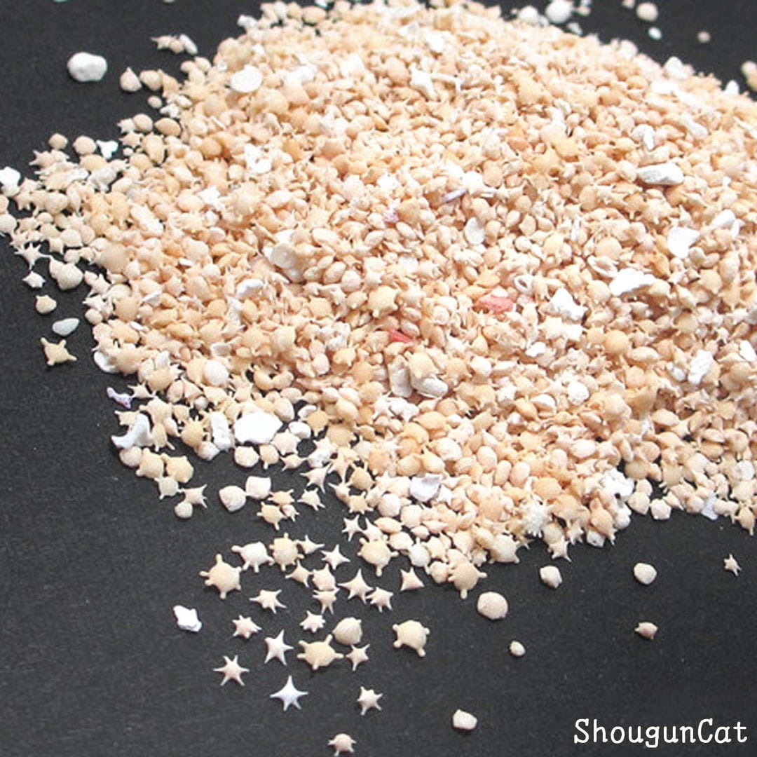 20g Star Sand Okinawa Japan for Resin Craft DIY Natural Shell Eo7950 - Etsy