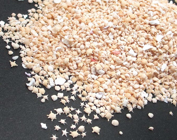 20g / Okinawa Star Sand / SUPER RARE / 100% Genuine & Natural ...