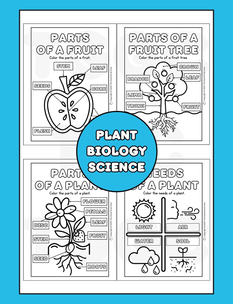 The Fruity Alphabet & More Fruits Group: Kids Coloring and Activity ...