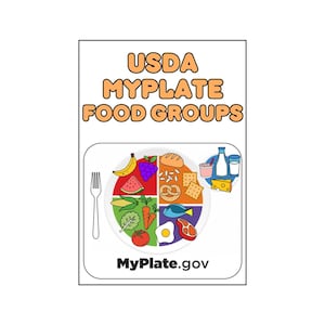 MYPLATE TEACHING & ACTIVITY Worksheets | 5 Food Group Activities ...
