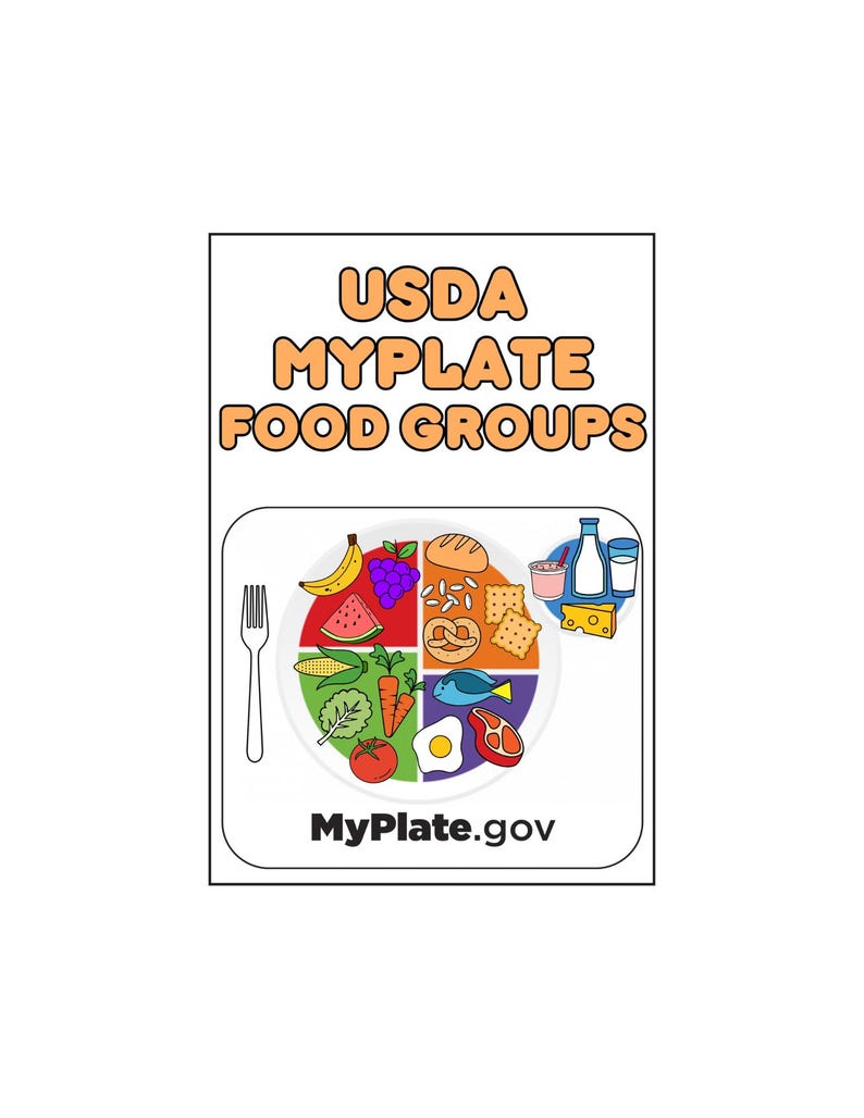MYPLATE TEACHING & ACTIVITY Worksheets | 5 Food Group Activities ...
