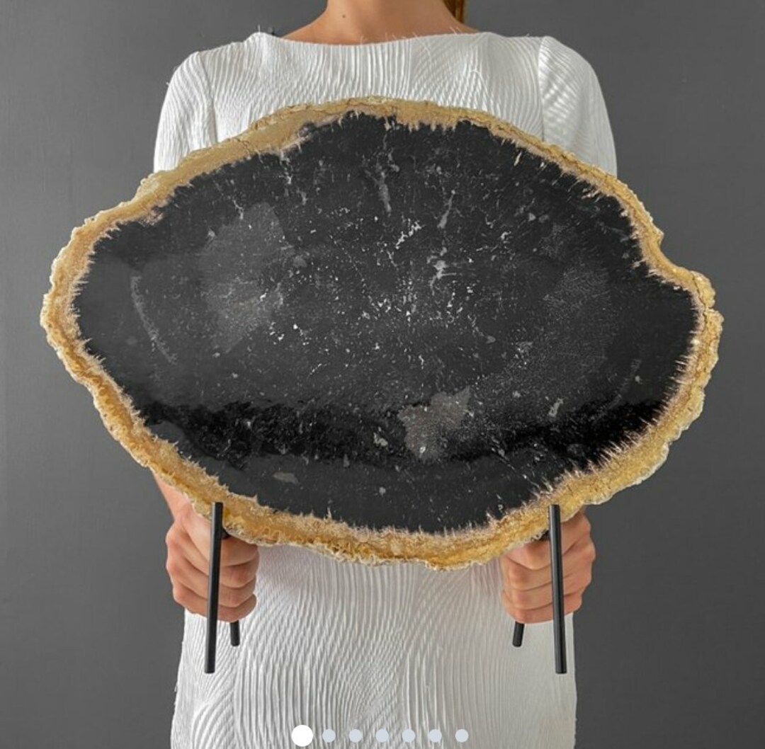 XXL Palm Root, Petrified Wood on Custom Stand UNIQUE, Petrified Wood ...