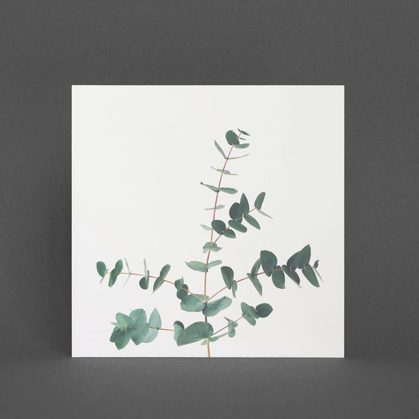 Eucalyptus Card - Etsy