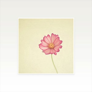 Pink Floral Print, Minimal Flower Print, Botanical Photography - Stay ...