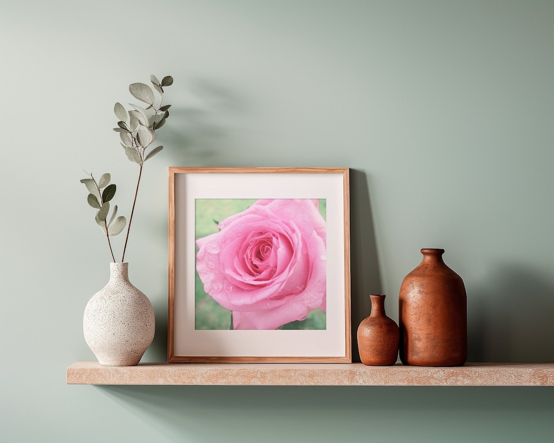 Pastel Rose Art Print, Pink Flower Wall Art, Botanical Bedroom Art ...