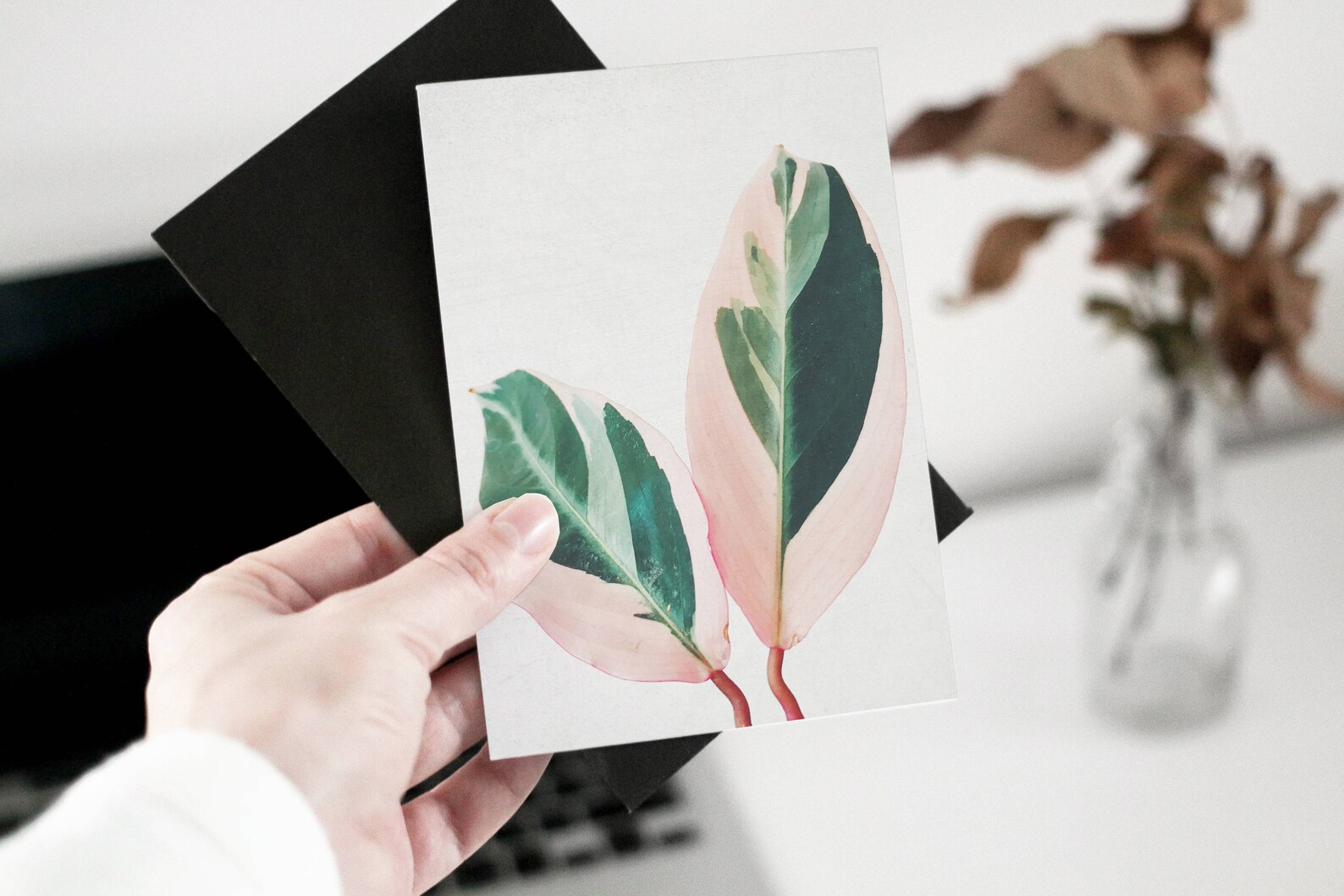 Botanical Postcards Gardening Gifts Stationery Set Still - Etsy