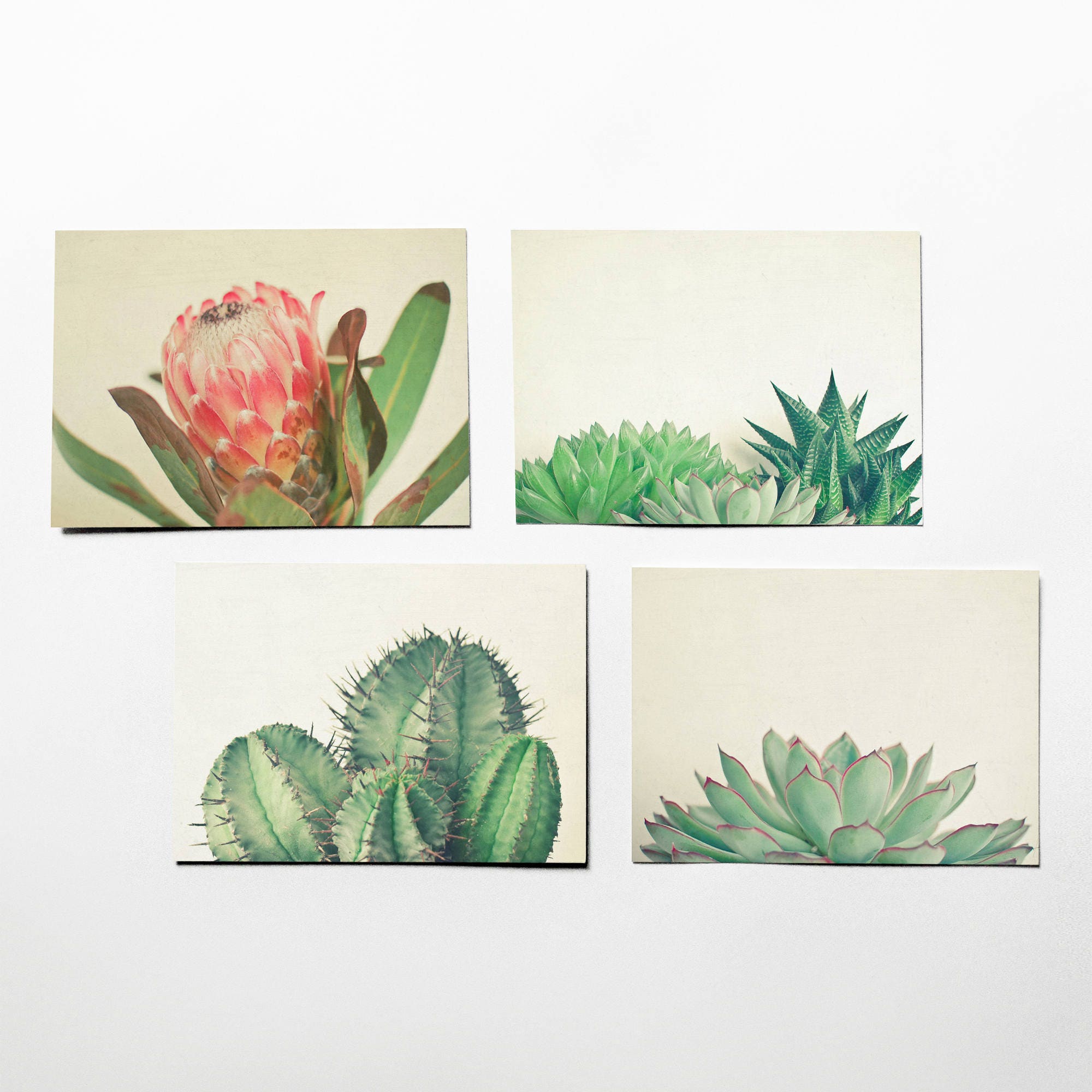 Botanical Postcards Dad Gift Writing Gifts Botanicals - Etsy UK