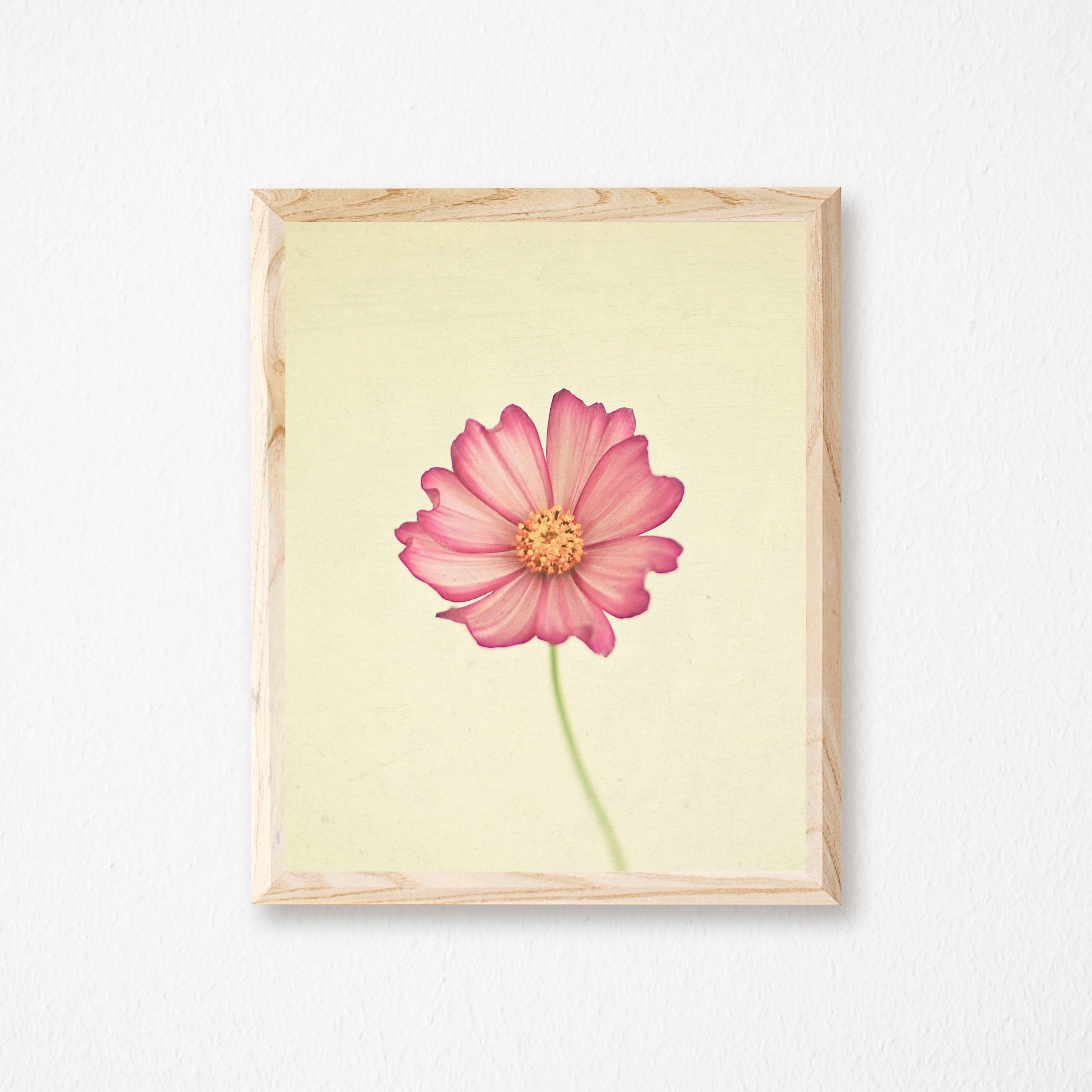 Pink Floral Print Minimal Flower Print Botanical Photography | Etsy