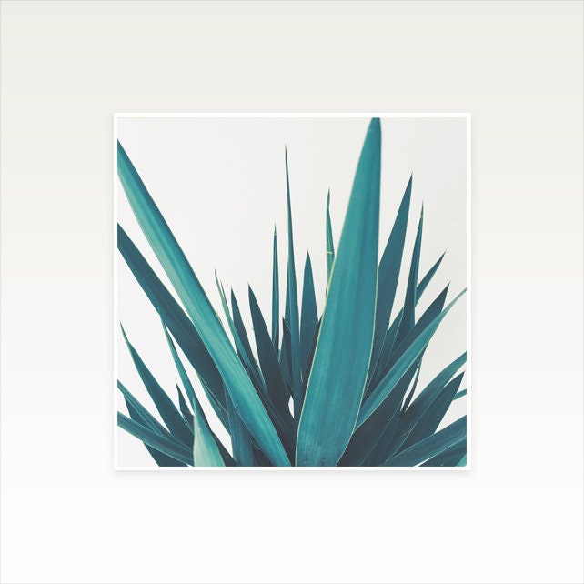 Leaf Print Blue Wall Art Botanical Print Yucca Leaves | Etsy