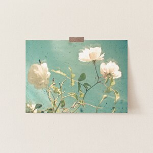 Flower Postcards, Aesthetic Room Decor, Stationery Set - Vintage ...