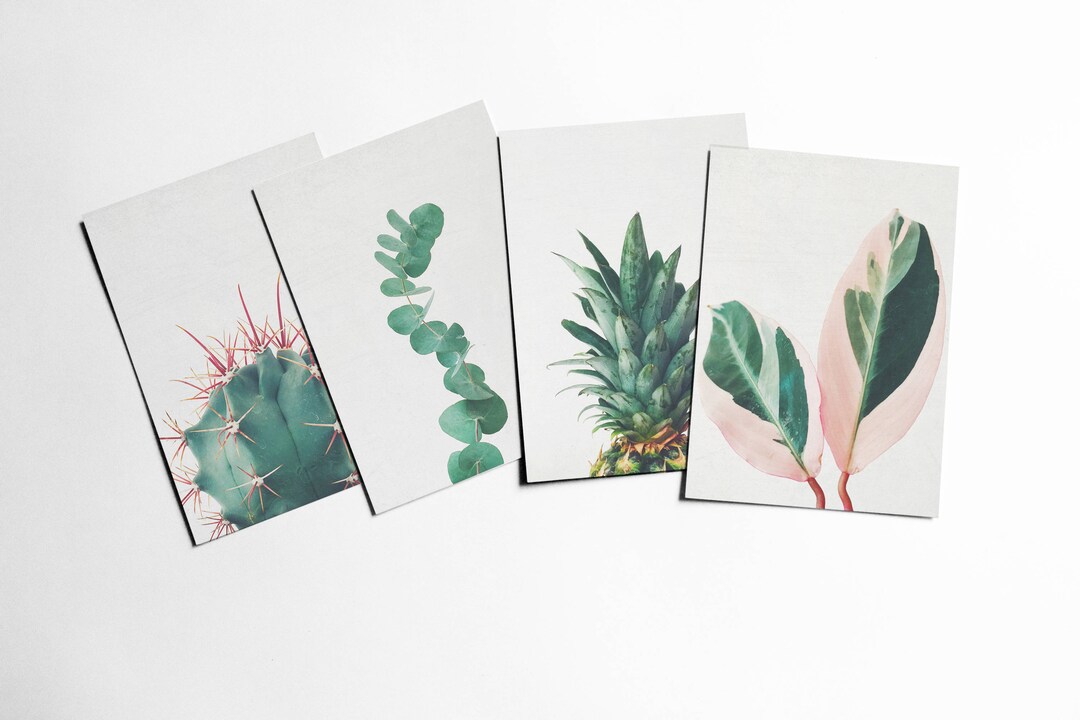 Botanical Postcards, Gardening Gifts, Stationery Set - Still Life - Etsy