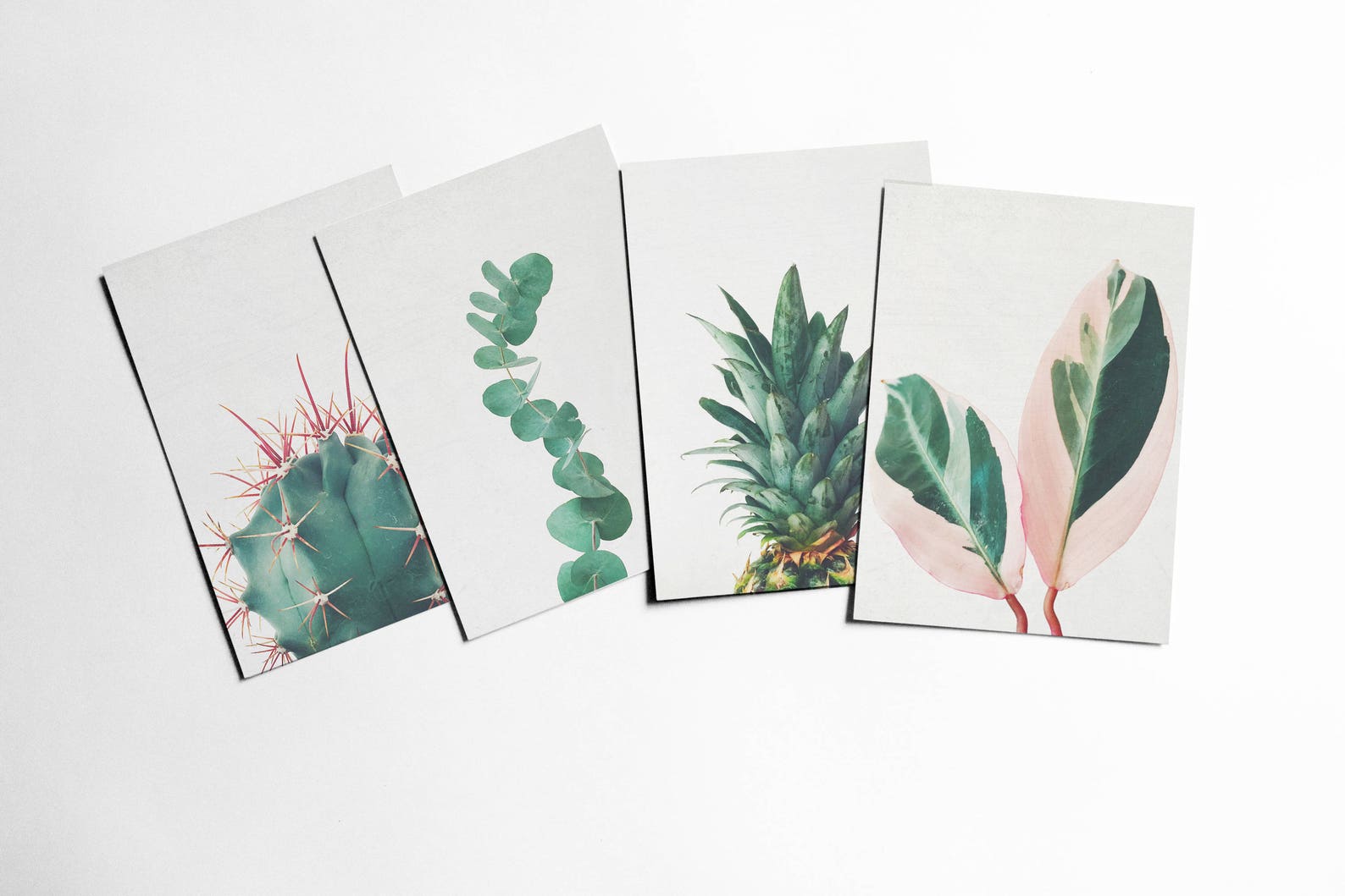 Botanical Postcards, Gardening Gifts, Stationery Set - Still Life - Etsy UK