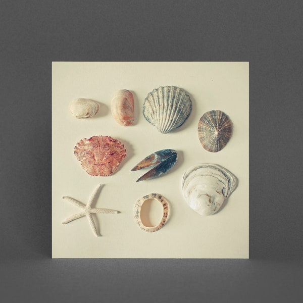 Shell Card - Etsy