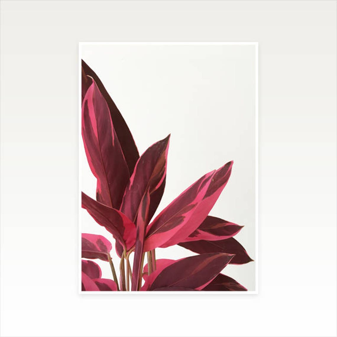 Leaf Print Red Wall Art Botanical Art Red Leaves II | Etsy