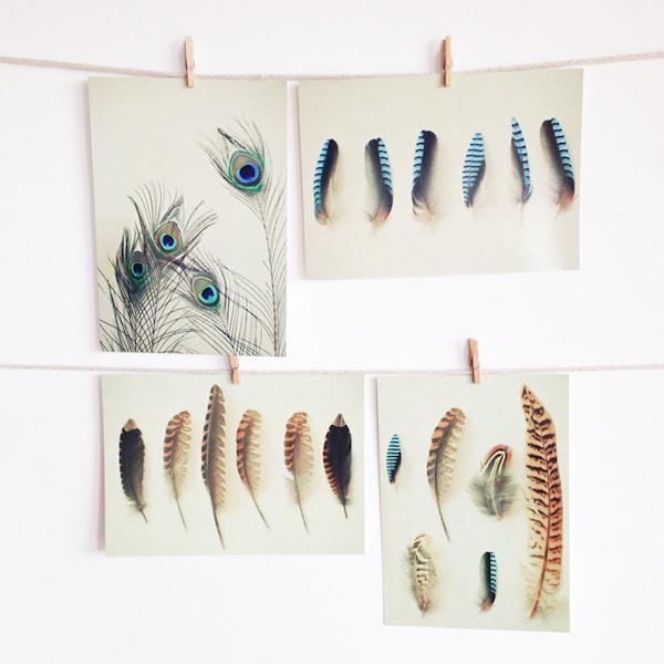 Feather Collection - Etsy