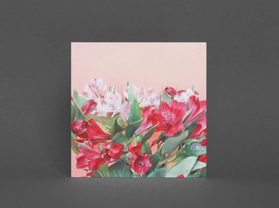 Floral Greeting Card, Lily Flower Card Peruvian Lilies - Etsy