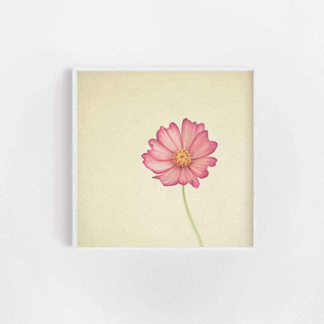 Pink Floral Print, Minimal Flower Print, Botanical Photography - Stay ...
