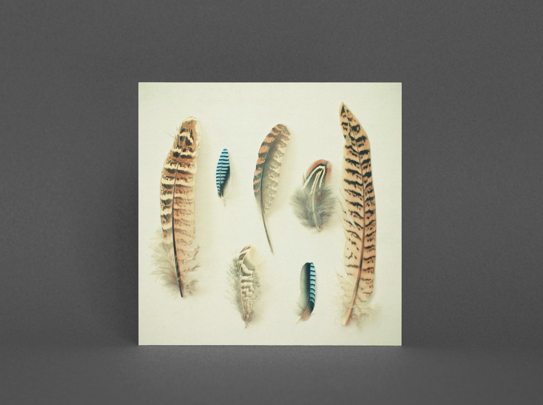 Feather Greeting Card - the Feather Collection - Etsy UK