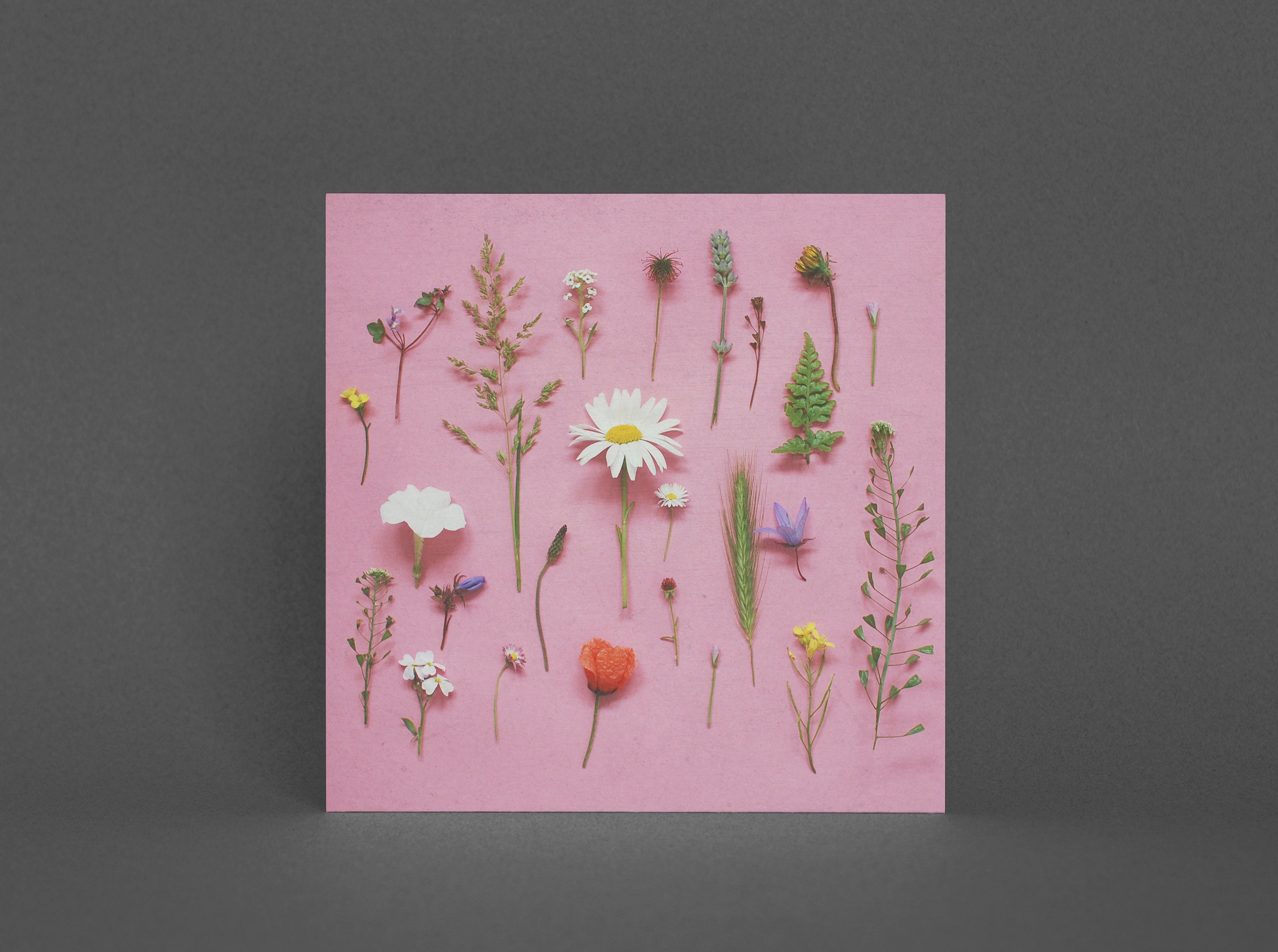 Pastel Pink Flowers Tumblr