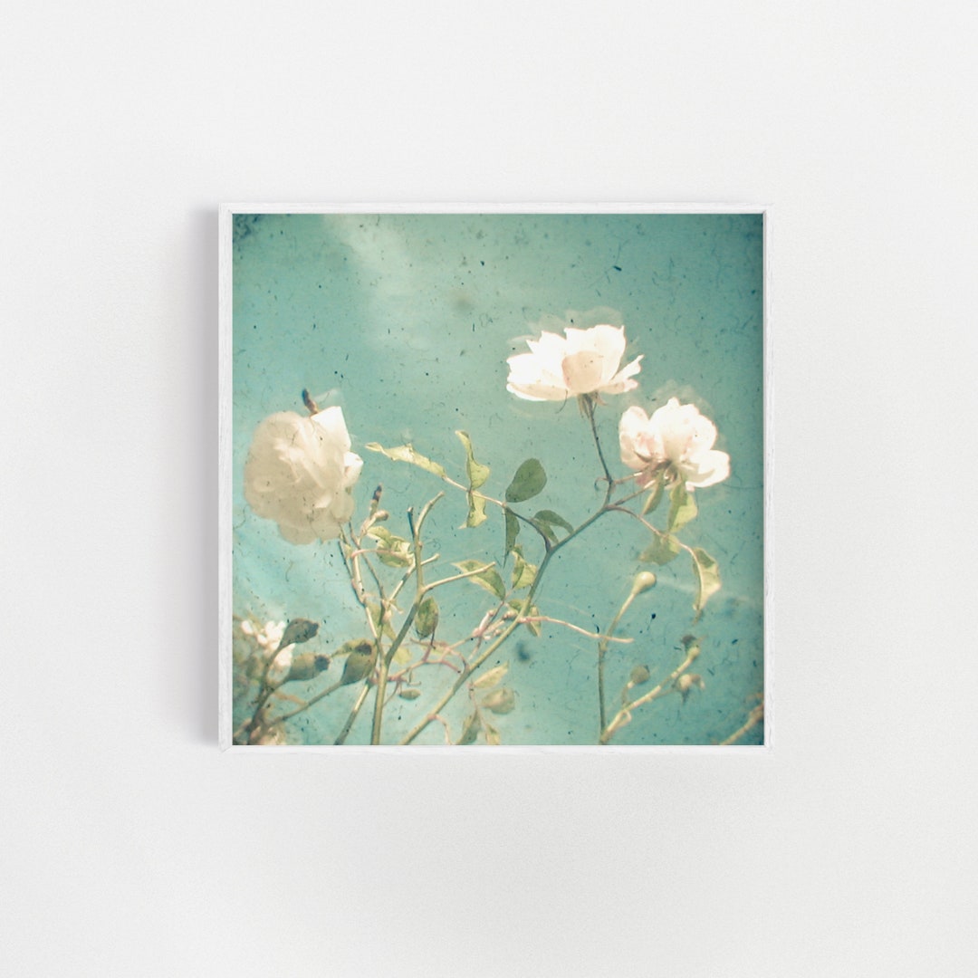 Vintage White Rose Print: Floral Photography on Pearl Paper - Etsy