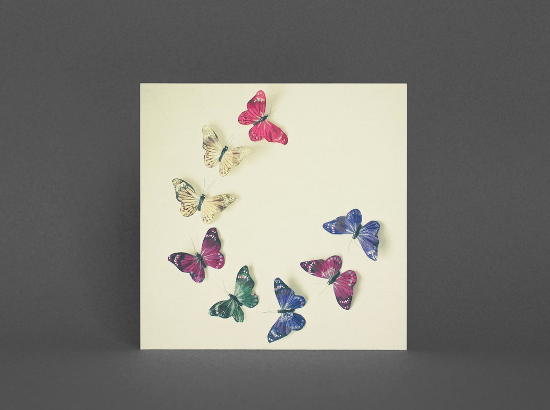 Butterfly Greeting Card Butterfly Dance - Etsy