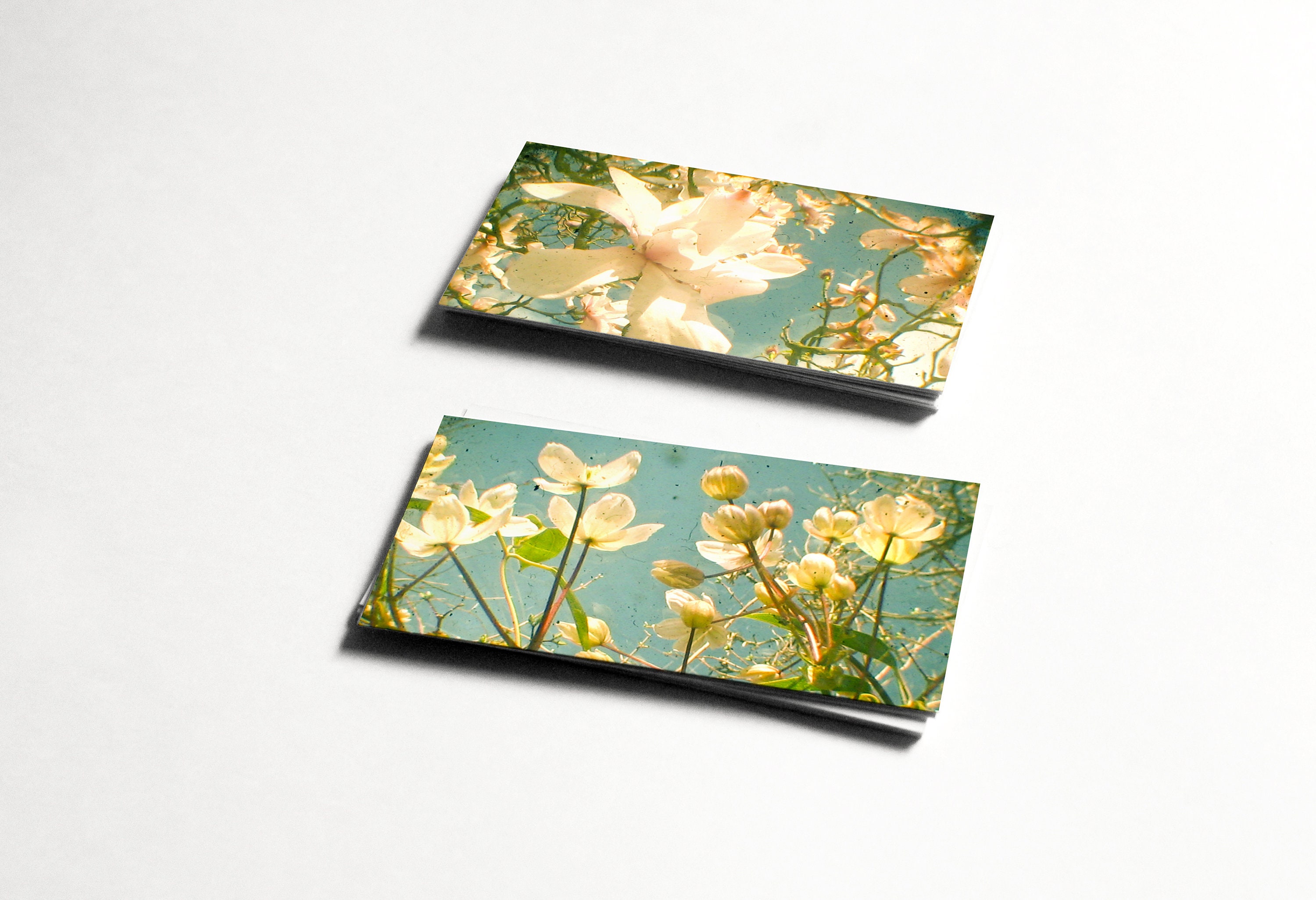 Flower Postcard Set Gift for Her Floral Photography Flower | Etsy