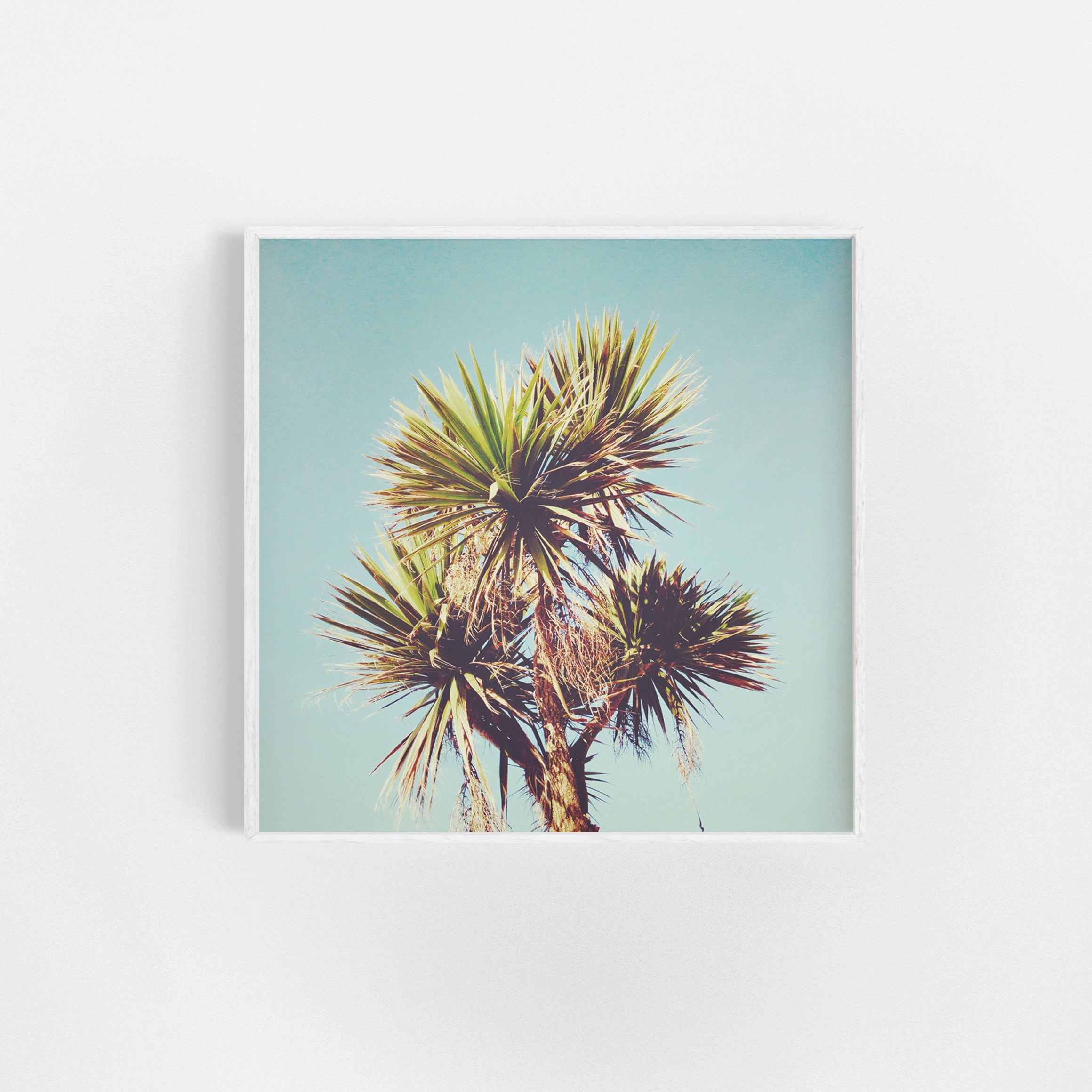 Retro Palm Tree Print