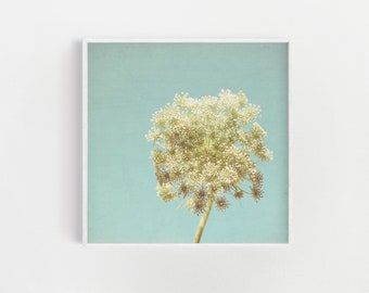 Pink Floral Print Minimal Flower Print Botanical Photography | Etsy