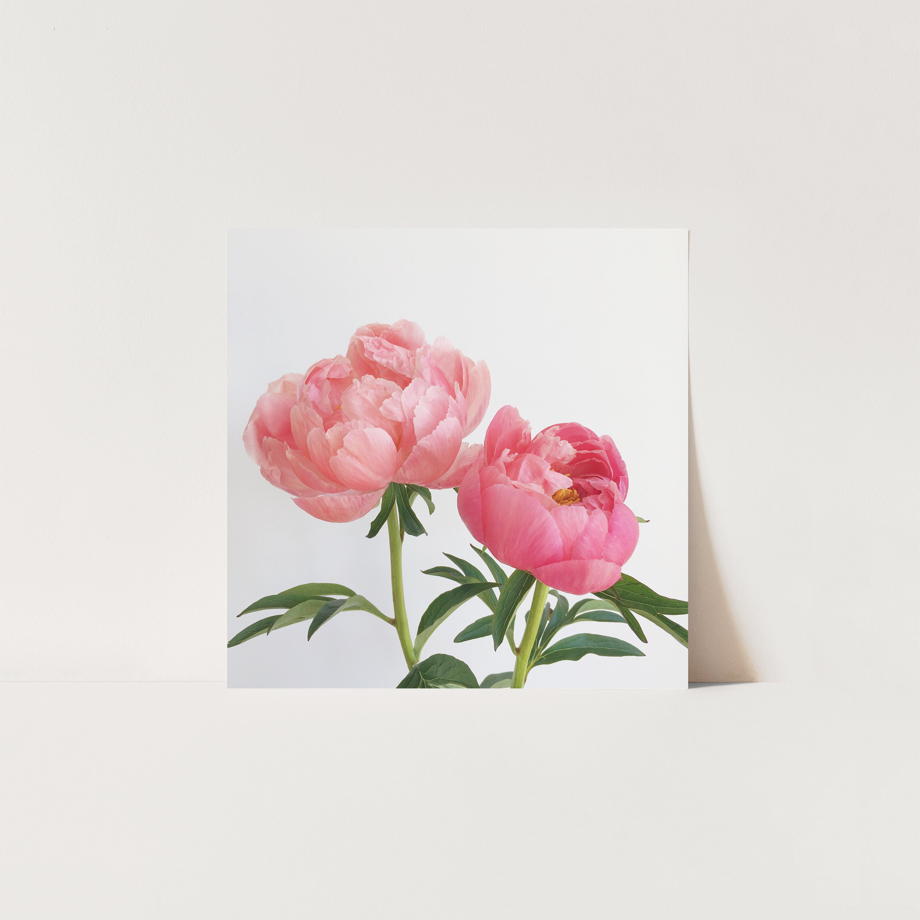 Flower Greeting Card Floral Card Peonies - Etsy UK