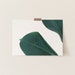 Plant Postcards, Aesthetic Room Decor, Stationery Set - Botanicals - Etsy