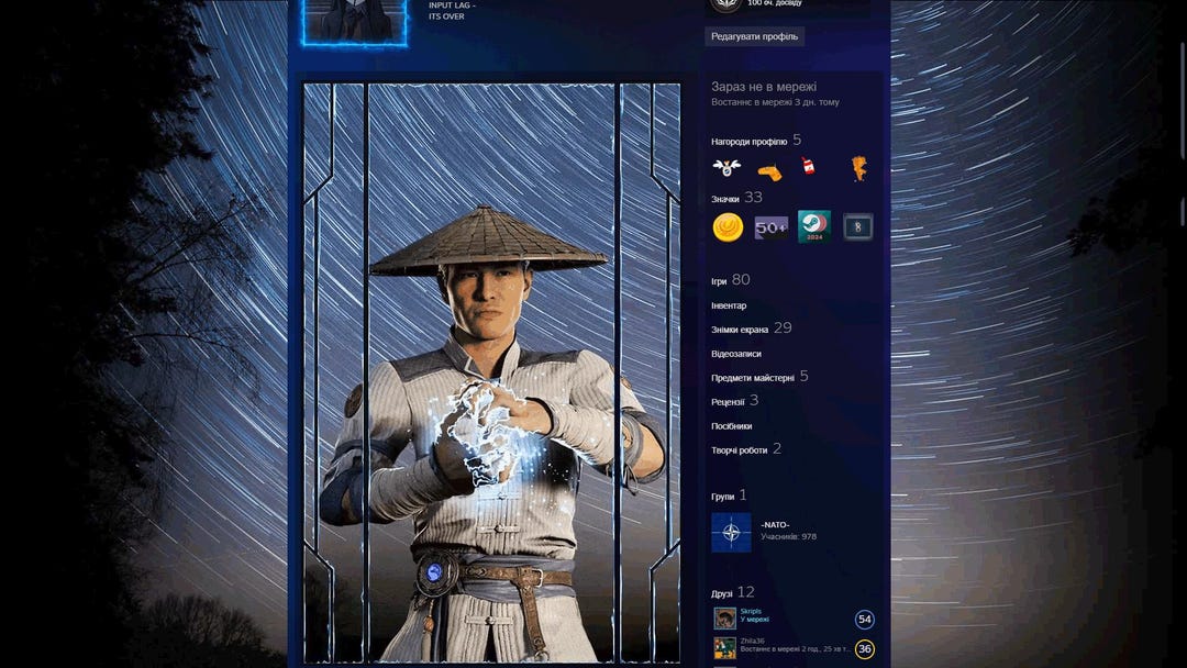 Raiden Animated Profile Art - Etsy