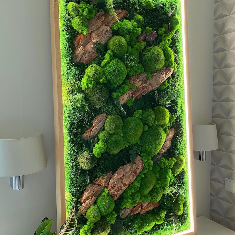 Preserved Moss Wall Art - Etsy