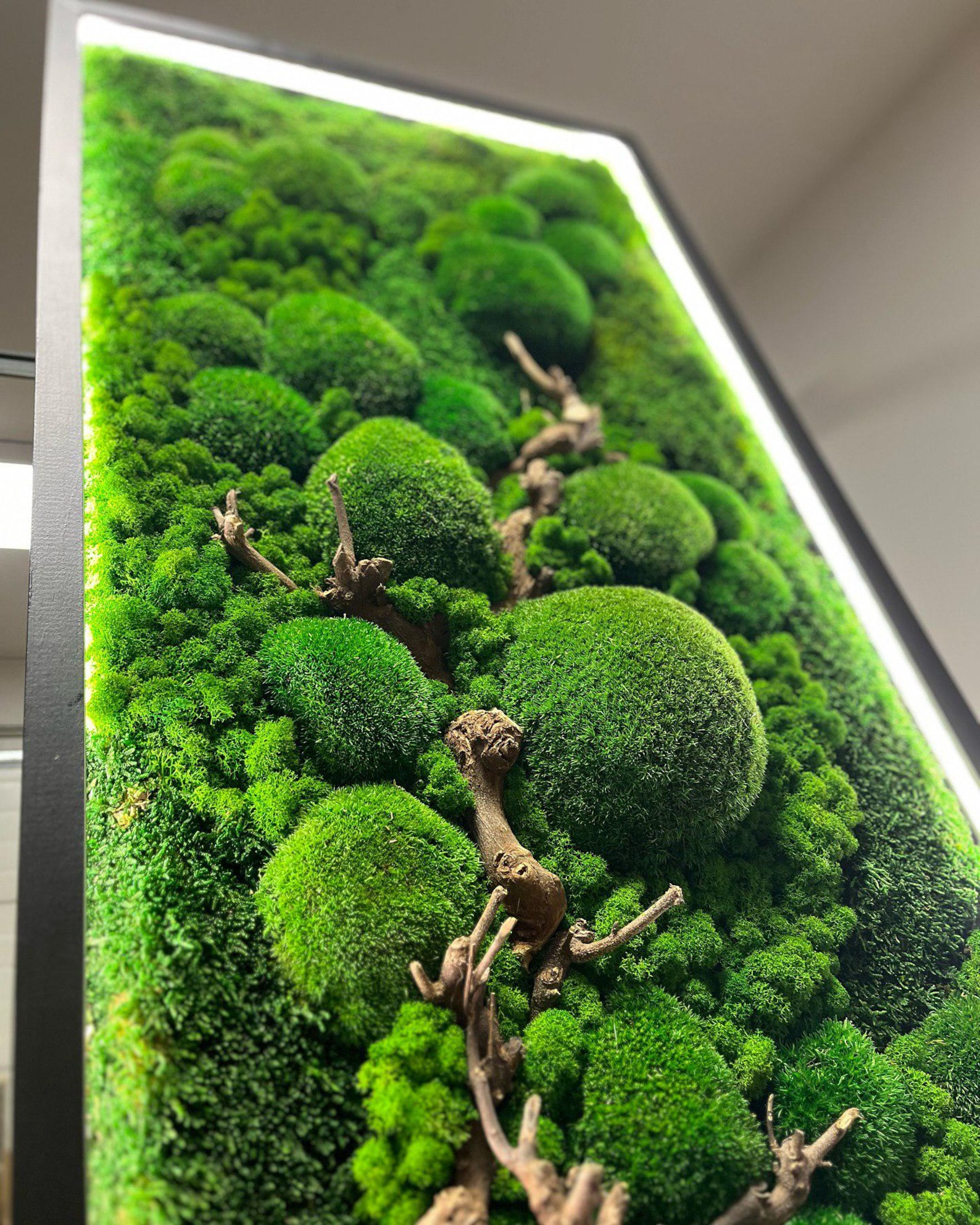 Luminous Reindeer Moss Wall Art With Branches | Custom Sizes, Wooden ...