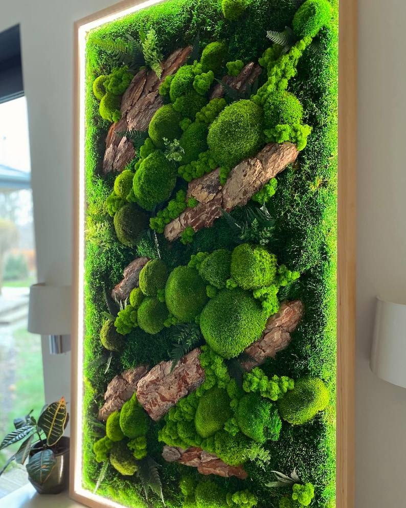 Preserved Moss Ceiling Panel With LED Lights | Eco-friendly Zero Care ...